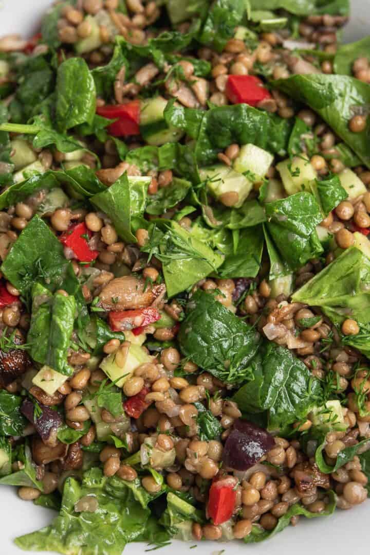 Lentil Salad Recipe (Vegan, Gluten-free) - Real Greek Recipes